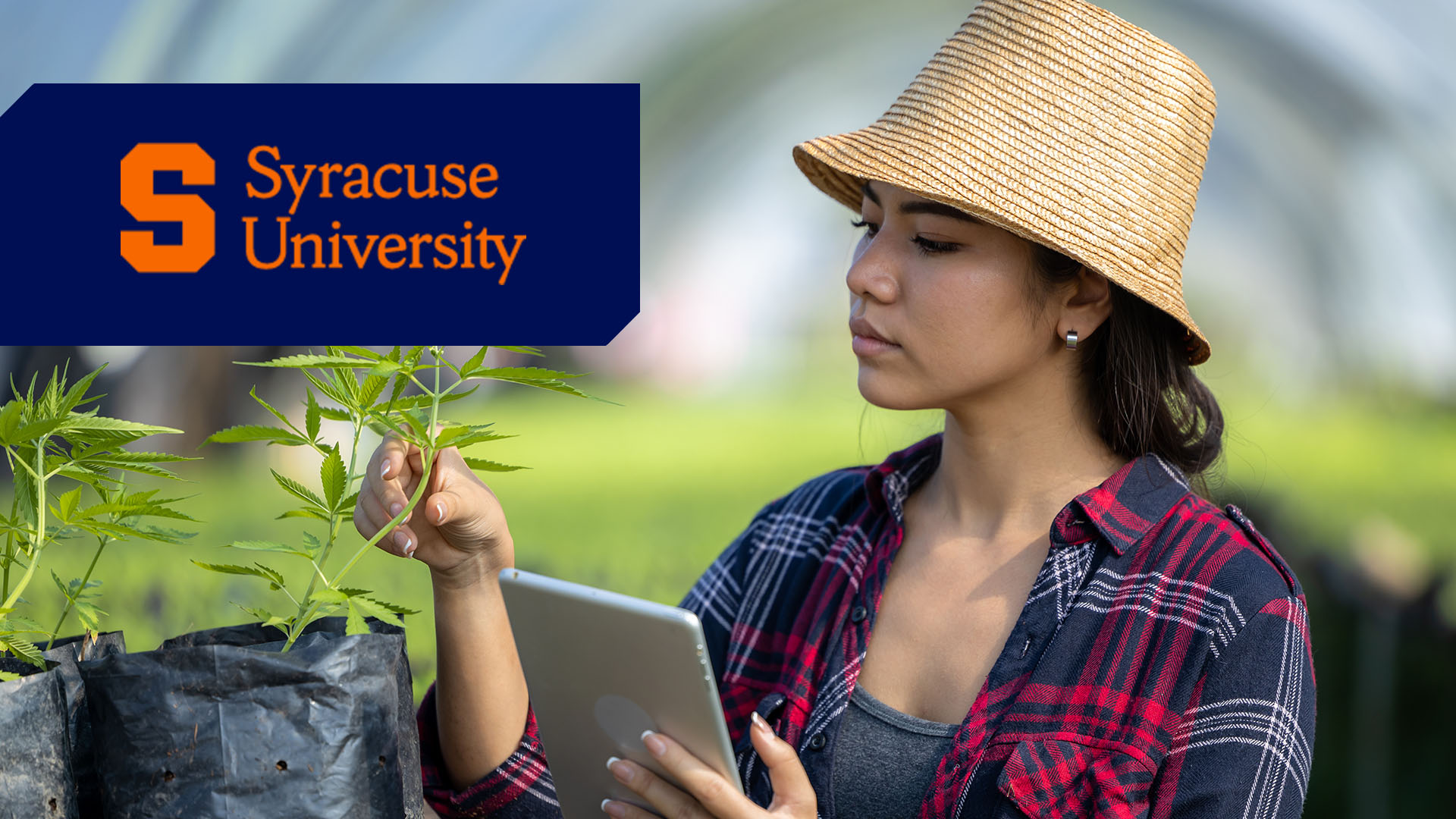 FAQ - Cannabis Studies - University of Arizona